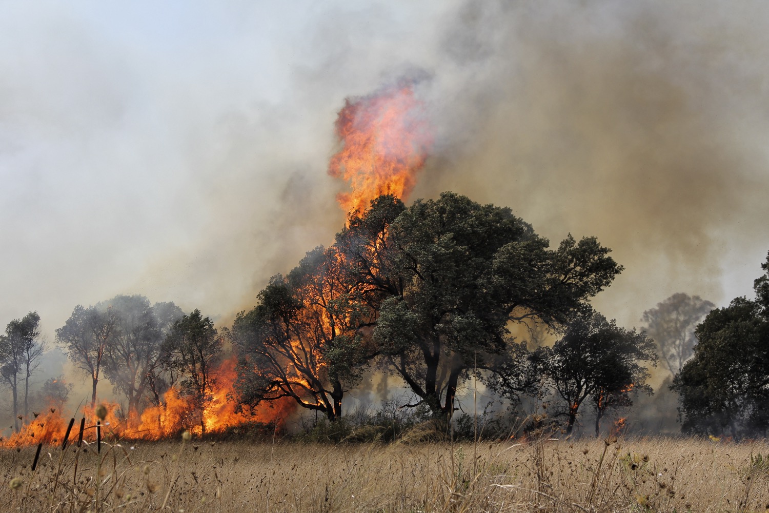 Incendi, allerta continua: tre focolai a Fumane, il veronese e il ...